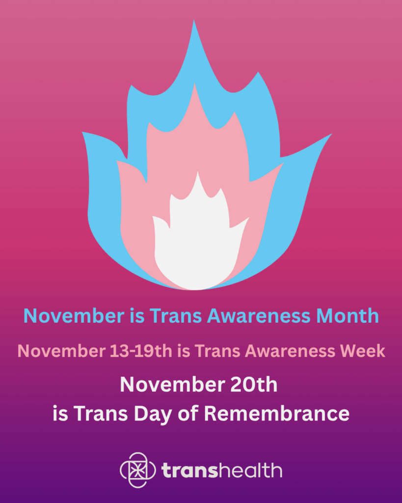 Trans Awareness Month
