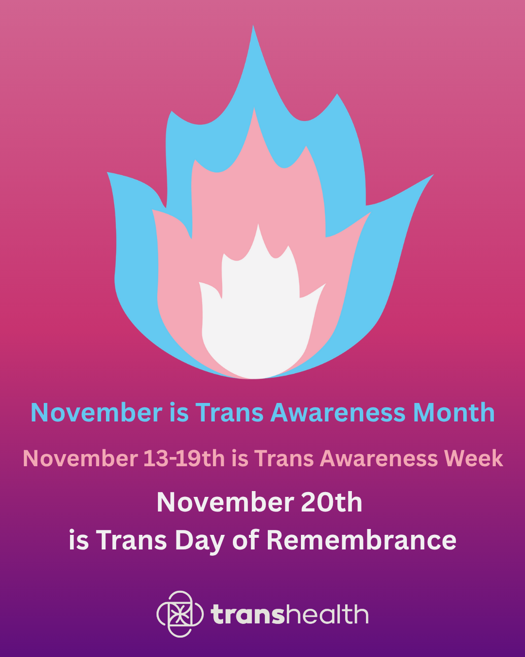Trans Awareness Month
